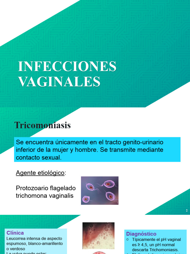 Infecciones Vaginales | PDF | Epidemiología | Reproducción humana