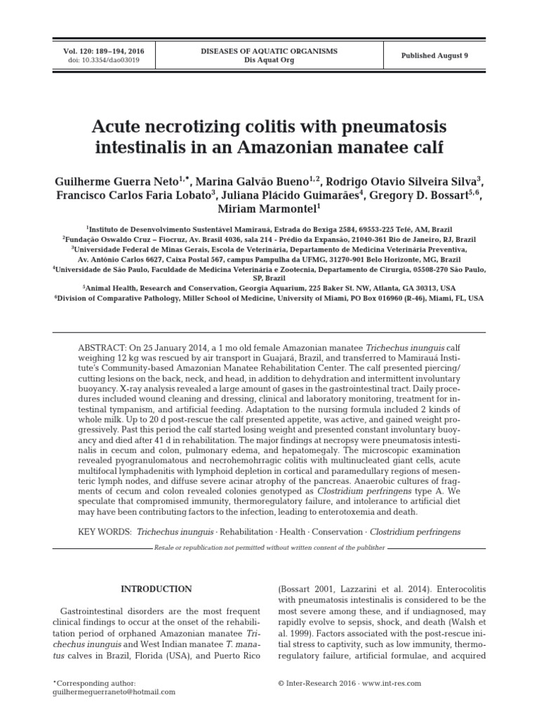 Acute Necrotizing Colitis With Pneumatosis Intestinalis in An Amazonian ...