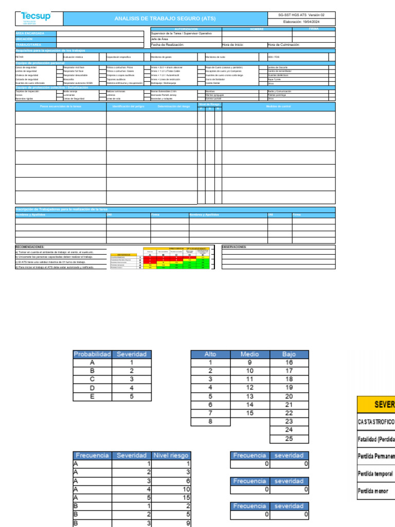 Formato ATS 2024 | PDF | La seguridad