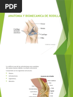 Ejercicios para Rodillas Valgas, Como Enderezar Piernas, Rodilla en X ...