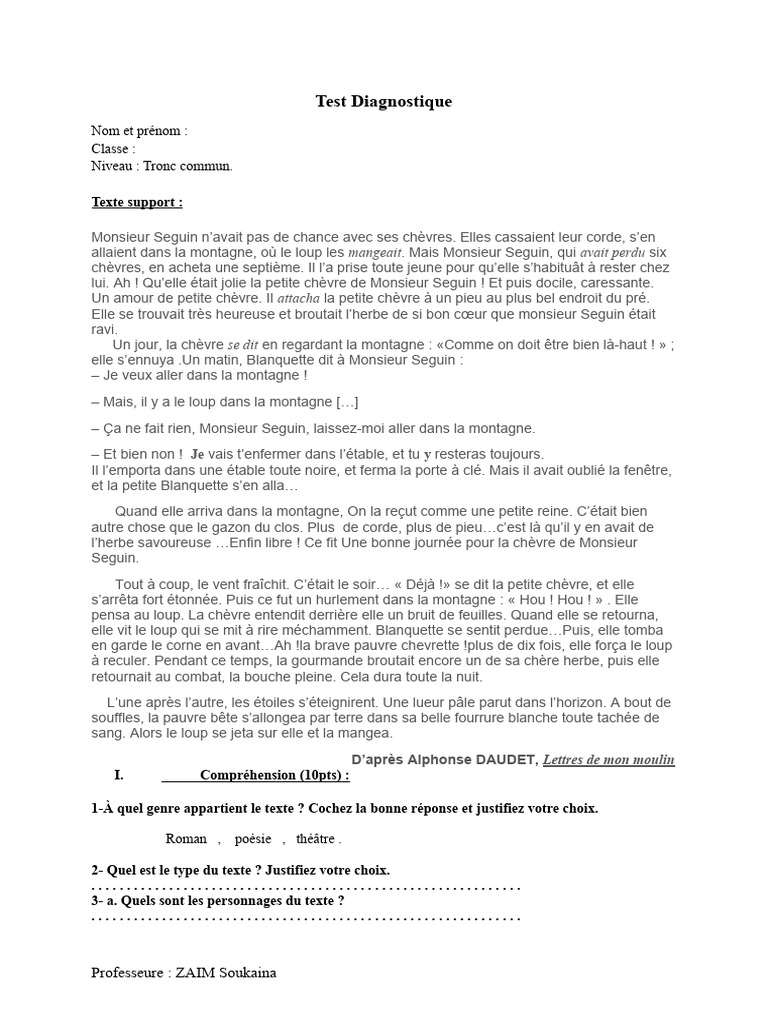 Test Diagnostique Français Tronc Commun | PDF