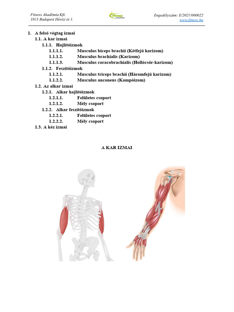 15 A Felso Vegtag Izmai Kar Alkar Kézizmok-4 | PDF