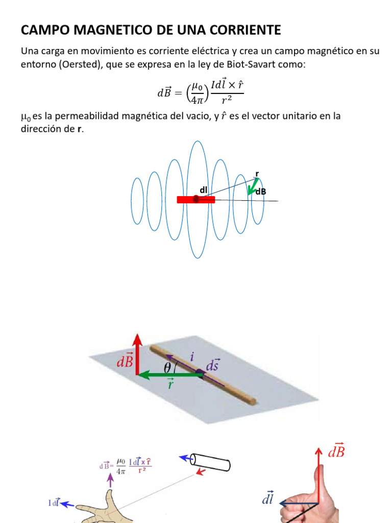 CAPITULO_8a | PDF | Campo magnético | Corriente eléctrica