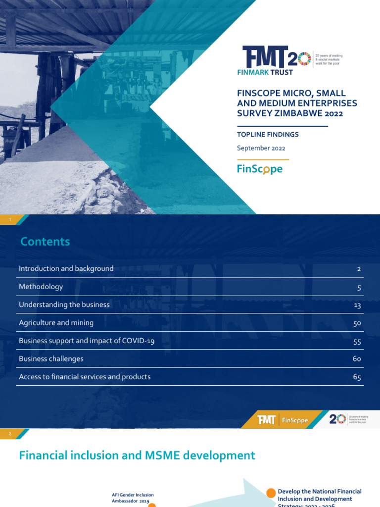 FinScope MSME Survey Zimbabwe2022 Findings | PDF | Small And Medium ...