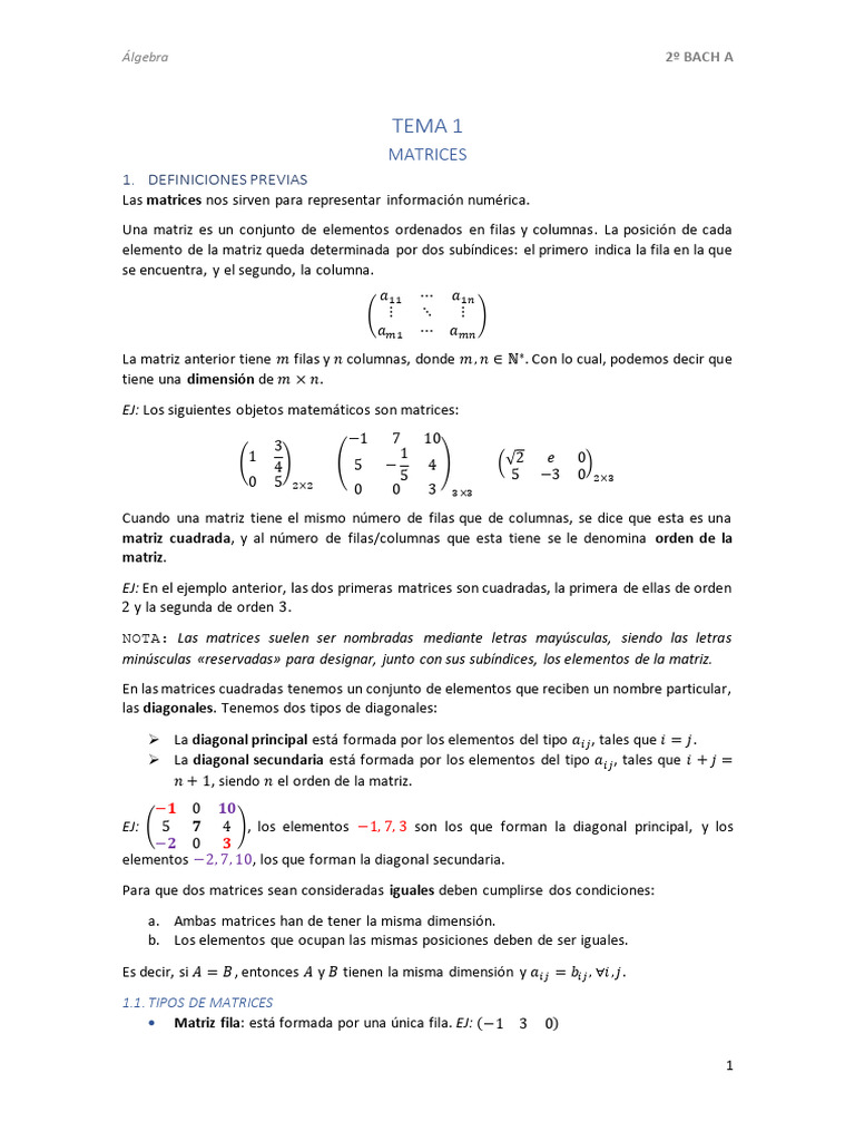 Tema 01 Matrices 2º Bach A | PDF | Matriz (Matemáticas) | Objetos matemáticos