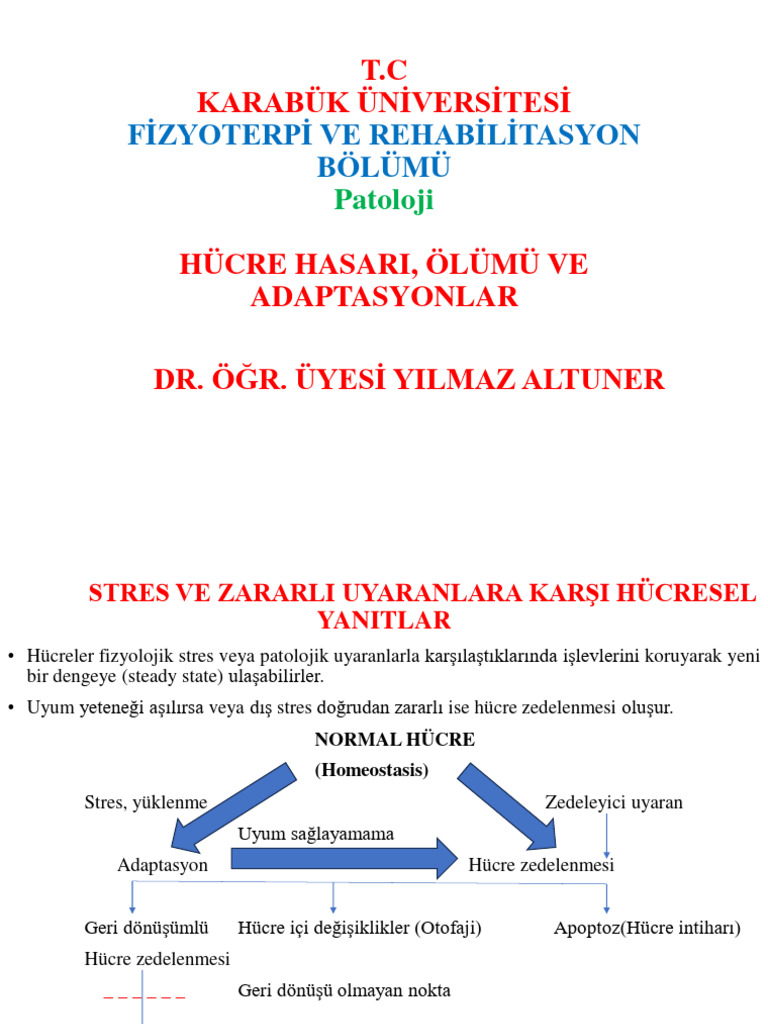 FTR Patoloji̇ 3. Konu | PDF