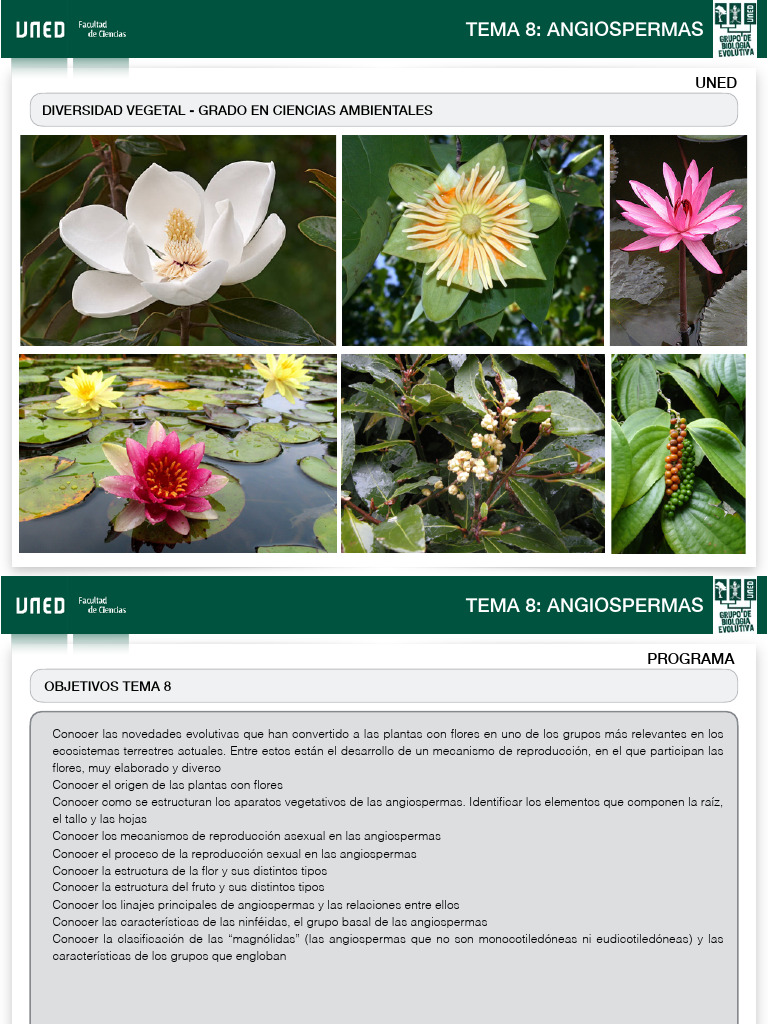 Material Adicional Tema 8 | PDF | Flores | Tallo de la planta