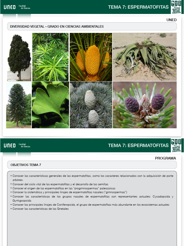 Material Adicional Tema 7 | PDF | Botánica | Plantas