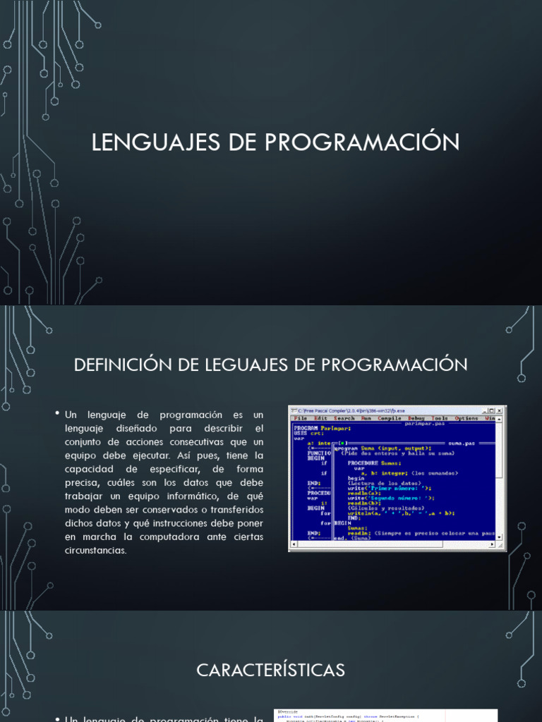 Lenguajes de Programación: Guía Completa | PDF | Lenguaje de ...