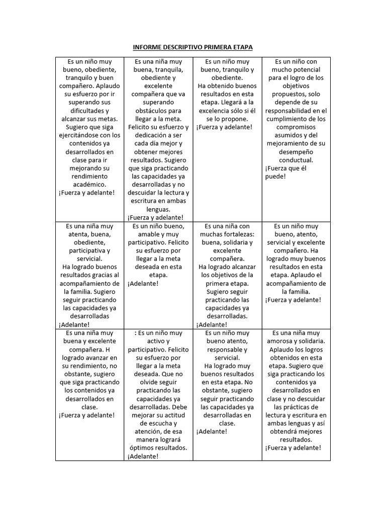 Modelo de Informe Descriptivo | PDF