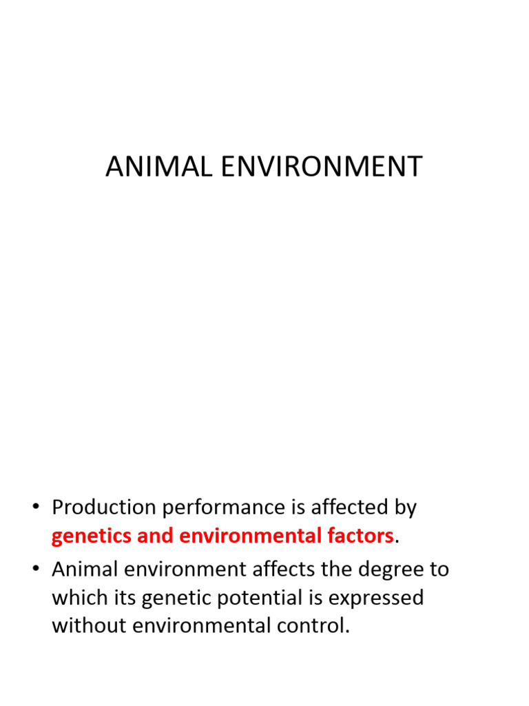 Animal Environment | PDF | Heat Transfer | Pig