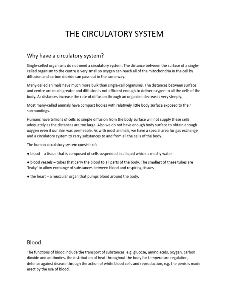 The Circulatory System Download Free Pdf Artery Heart