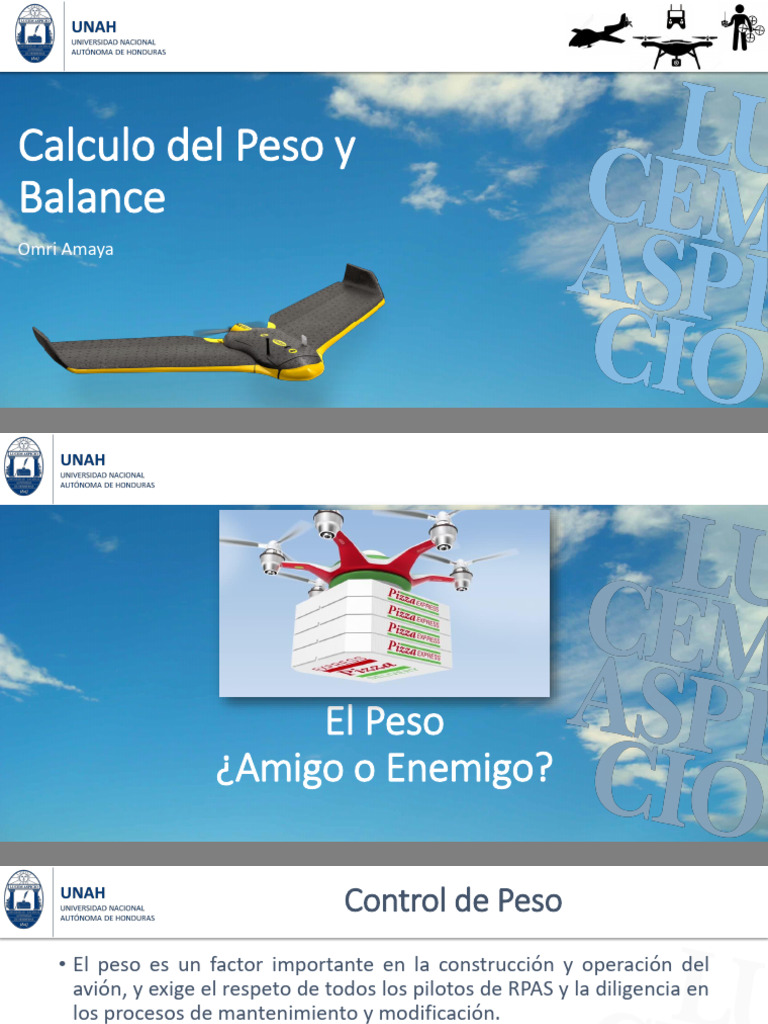 Control de Peso y Balance Ejercicios Practicos | Descargar gratis PDF ...