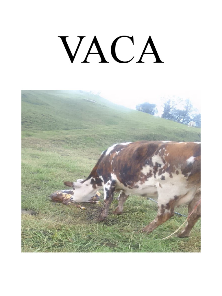 Género y hábitat de la vaca | PDF