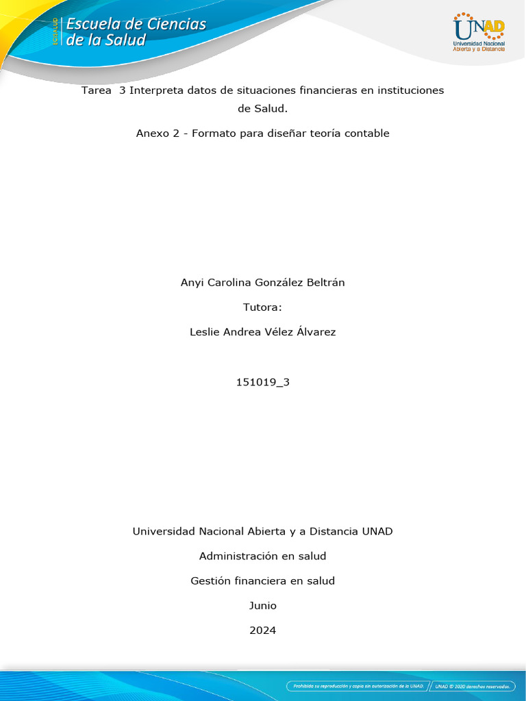 Teoría Contable en Salud | PDF | Estado financiero | Business