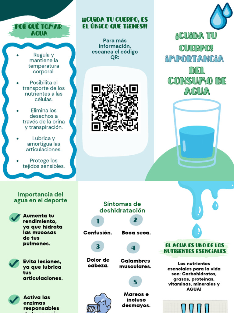 Tríptico Consumo de Agua | PDF