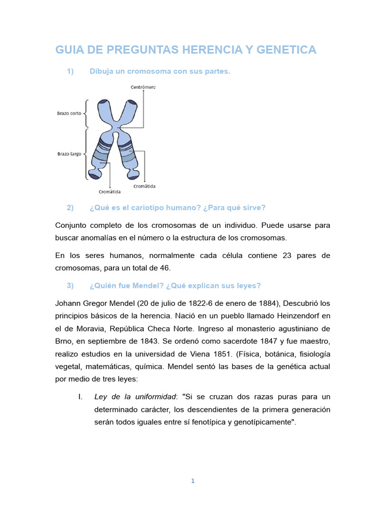 Guia Herencia y Genetica | PDF | Dominancia (Genética) | Cigosidad