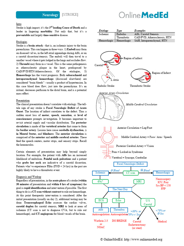 Neurology - Stroke | Download Free PDF | Stroke | Thrombosis