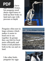 Fact vs Opinion: Penguins Game | PDF