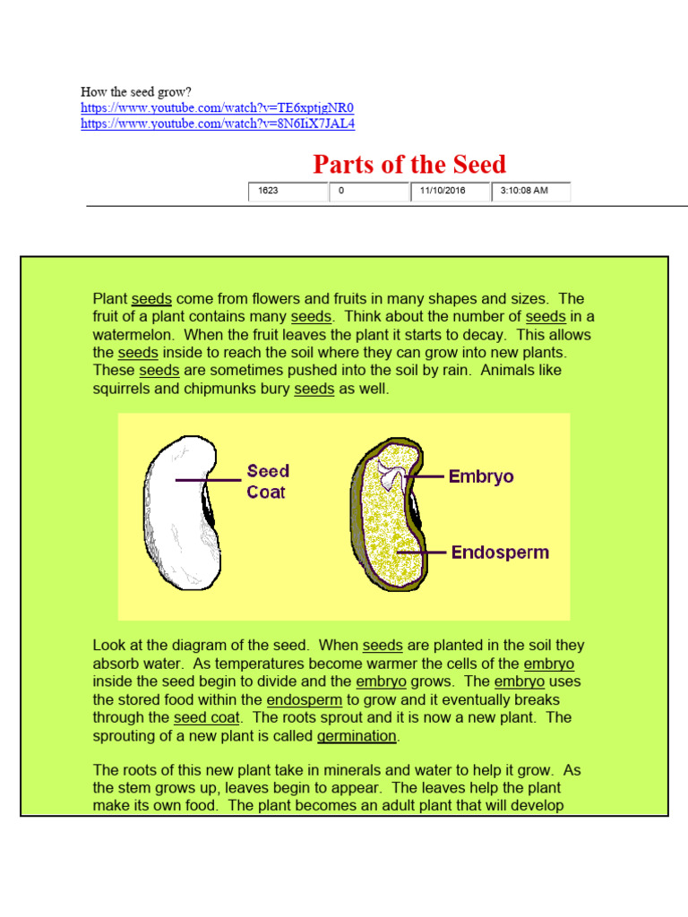 How The Seed Grow | PDF | Science & Mathematics