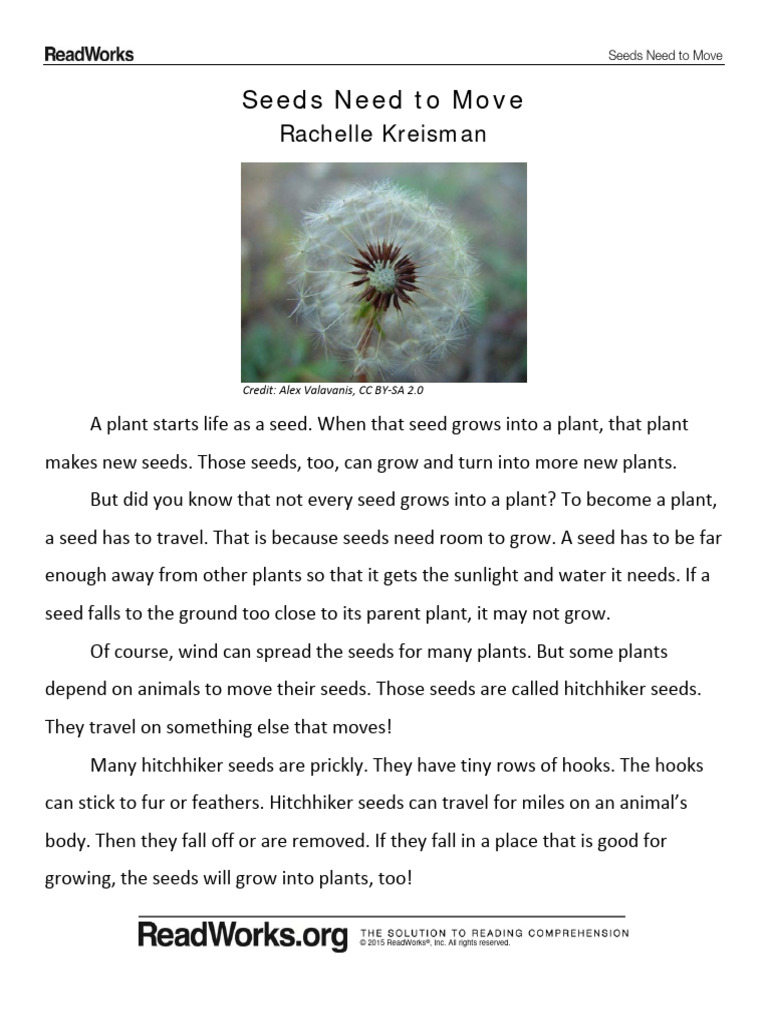 Seeds Need To Move 680 Passage and Questions | PDF