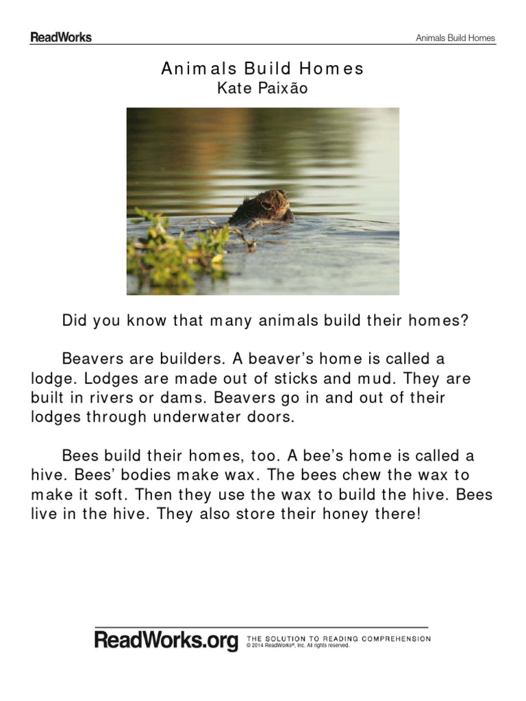 Animals Build Homes 420 Passage and Questions | PDF