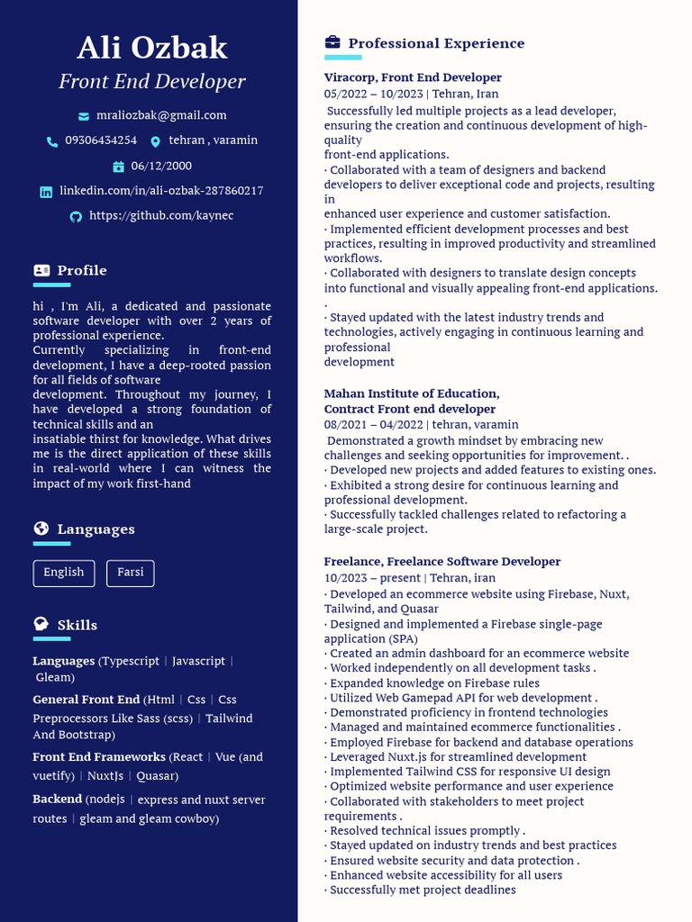 Front End Developer Profile: Ali Ozbak | PDF | Information Technology ...