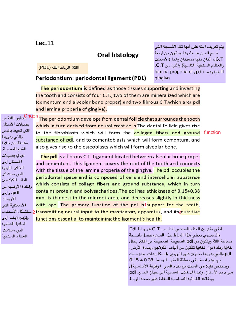 Lec 11-15 | PDF