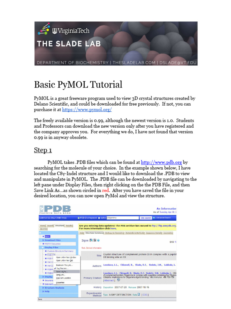 Pymol Tutorial Slade Lab Download Free Pdf Protein Data Bank Image Resolution
