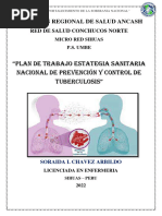 Contactos Programas - DGVS | PDF