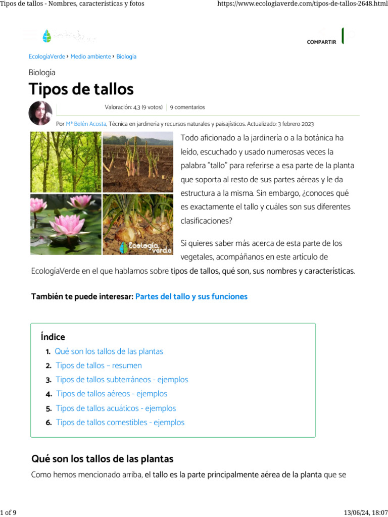 Tipos de Tallos - Nombres, Características y Fotos | PDF | Tallo de la ...