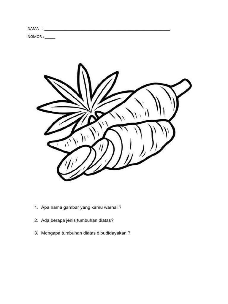 Mewarnai Ubi Jalar Pdf
