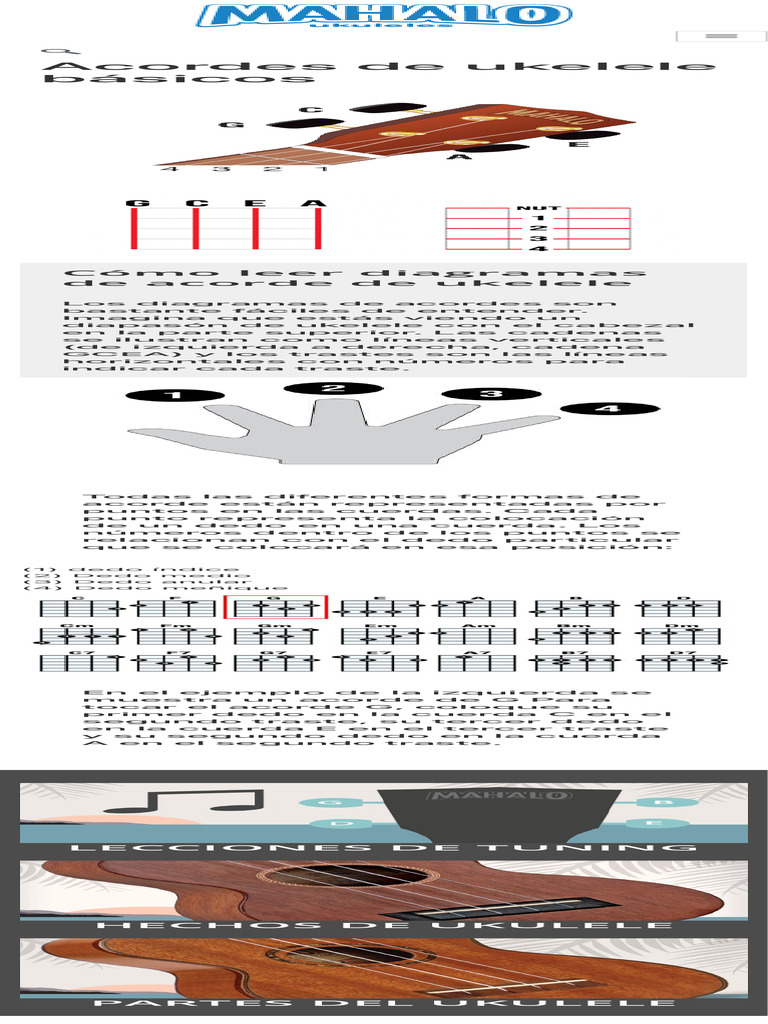 Acordes Básicos de Ukelele | PDF