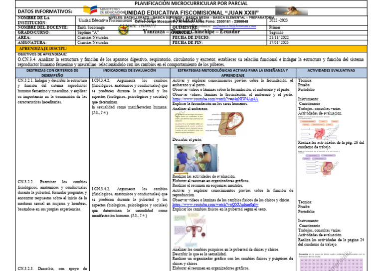 2do PARCIAL CCNN | PDF | Aprendizaje | Evaluación