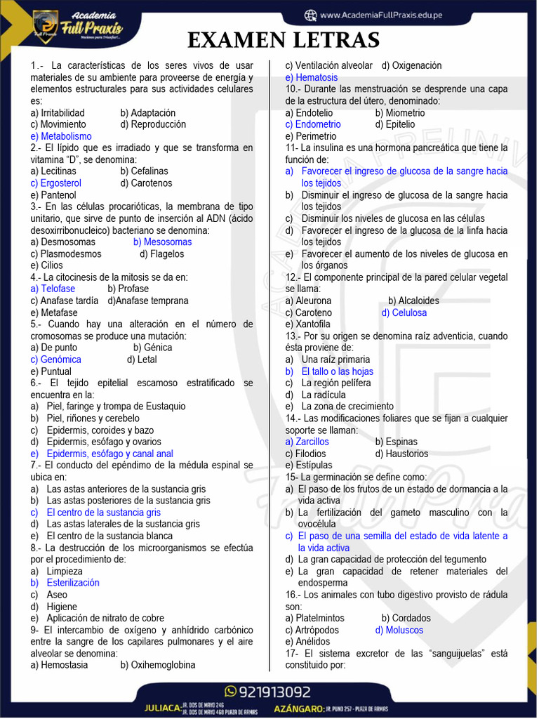 Examen de Letras Con Claves | PDF | Business | Precios