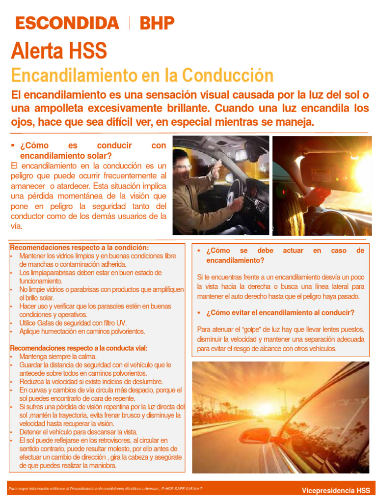Guía HSS - Encandilamiento en La Conducción V1 | PDF