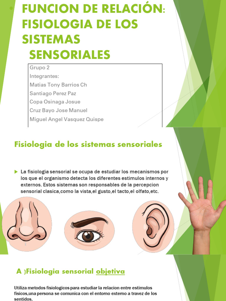 Presentación | PDF | Sentidos | Percepción