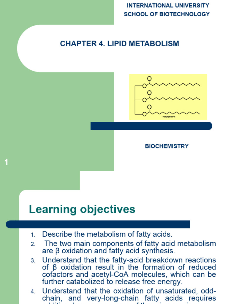 Chapter 4 Lipid Metabolism | PDF | Adenosine Triphosphate | Fatty Acid