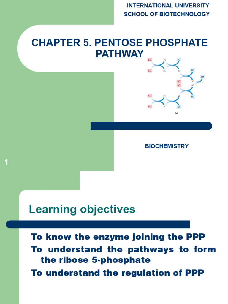 Pentose Phosphate Pathway Overview | PDF | Nicotinamide Adenine ...