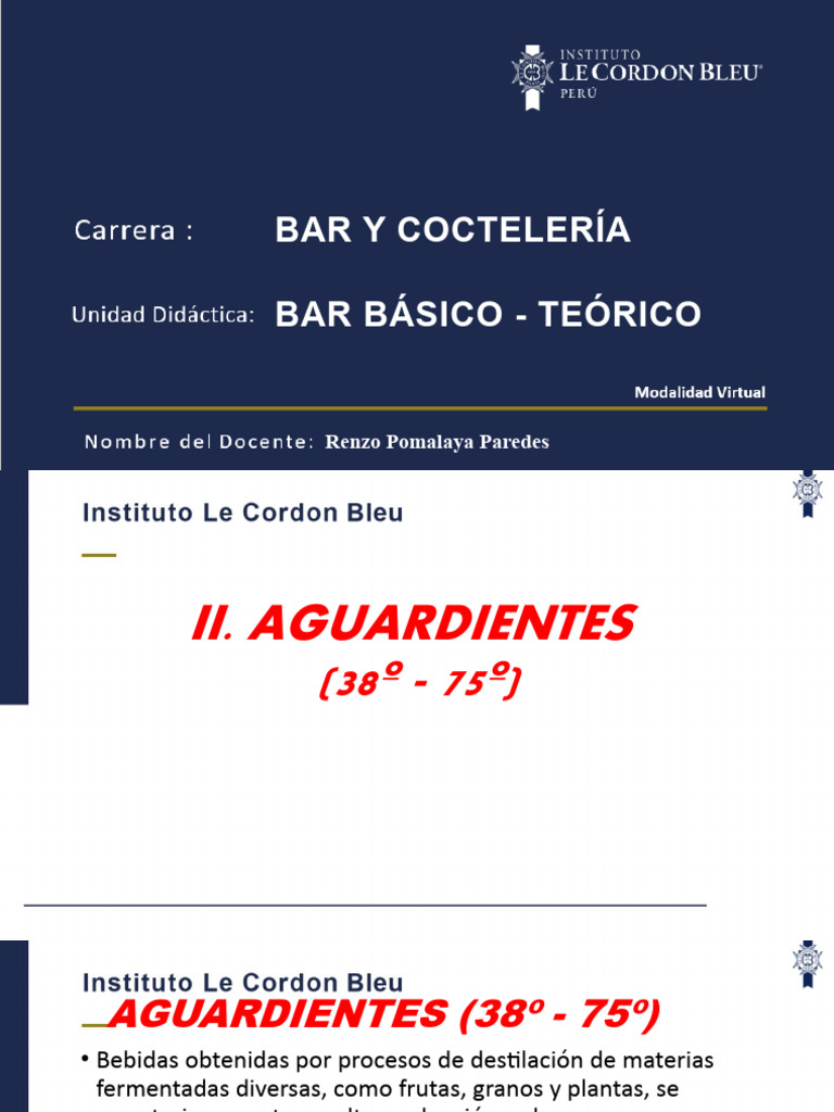 BAR BASICO - Presentacion - Bebidas Aguardientes | PDF | Whisky | Ginebra