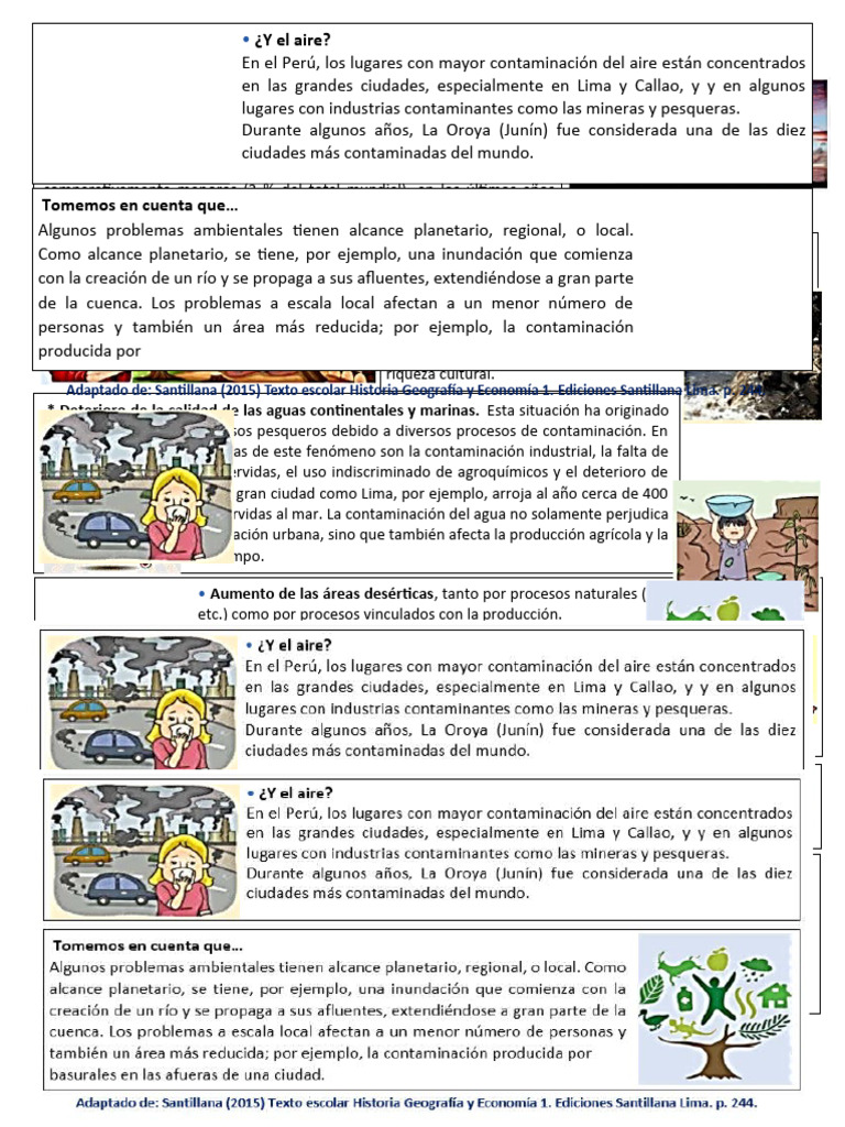 PROBLEMAS AMBIENTALES EN EL PERÚ Y EL MUNDO - Docx Anexo | PDF | Contaminación | Entorno natural