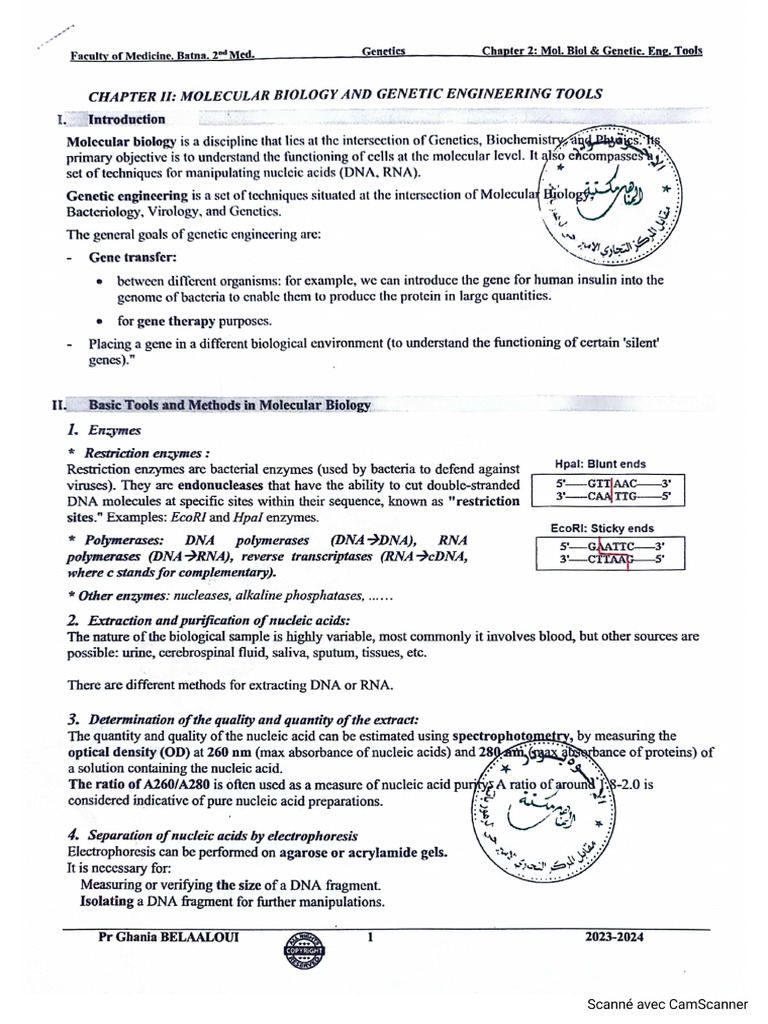Chapter 2 Genetics | PDF