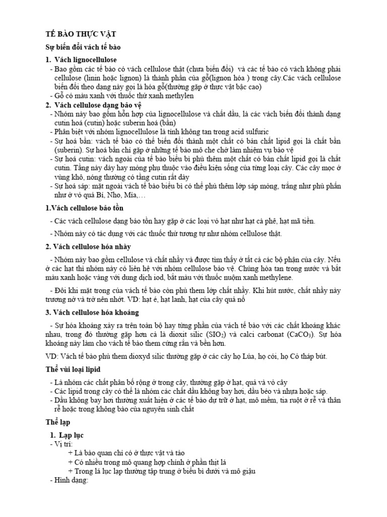 Đề cương TVD 1 | PDF