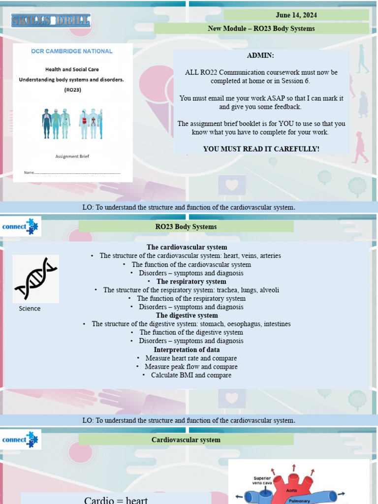 Cardiovascular System Structure and Function HSC | PDF | Vein | Artery