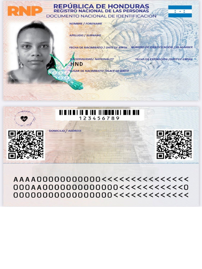 Formato de Carnet | PDF