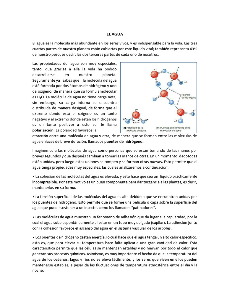 El Agua | Descargar gratis PDF | Propiedades del agua | Agua
