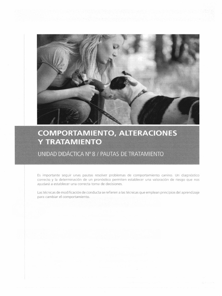 Leccion2 8 PAC | PDF