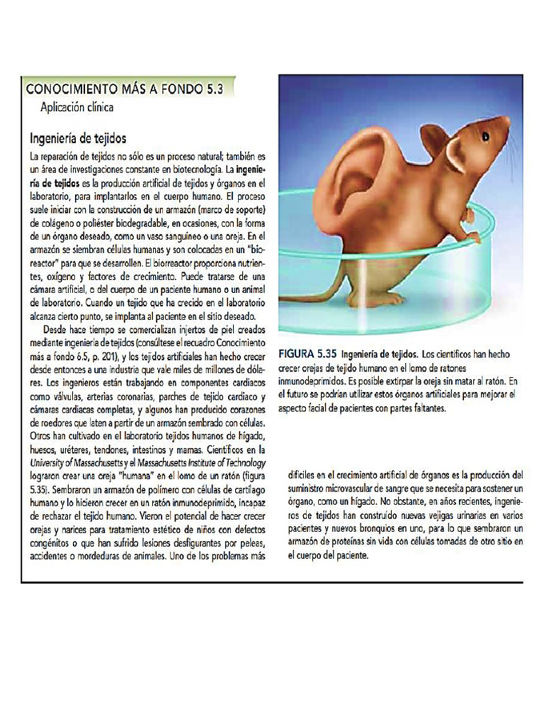 Sigamos Aprendiendo | PDF