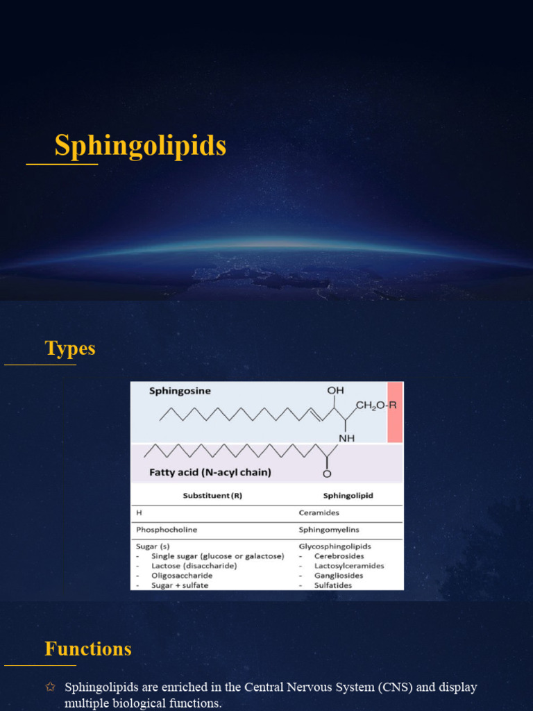 Sphingolipids: Types and Functions | PDF | Self-Improvement | Wellness