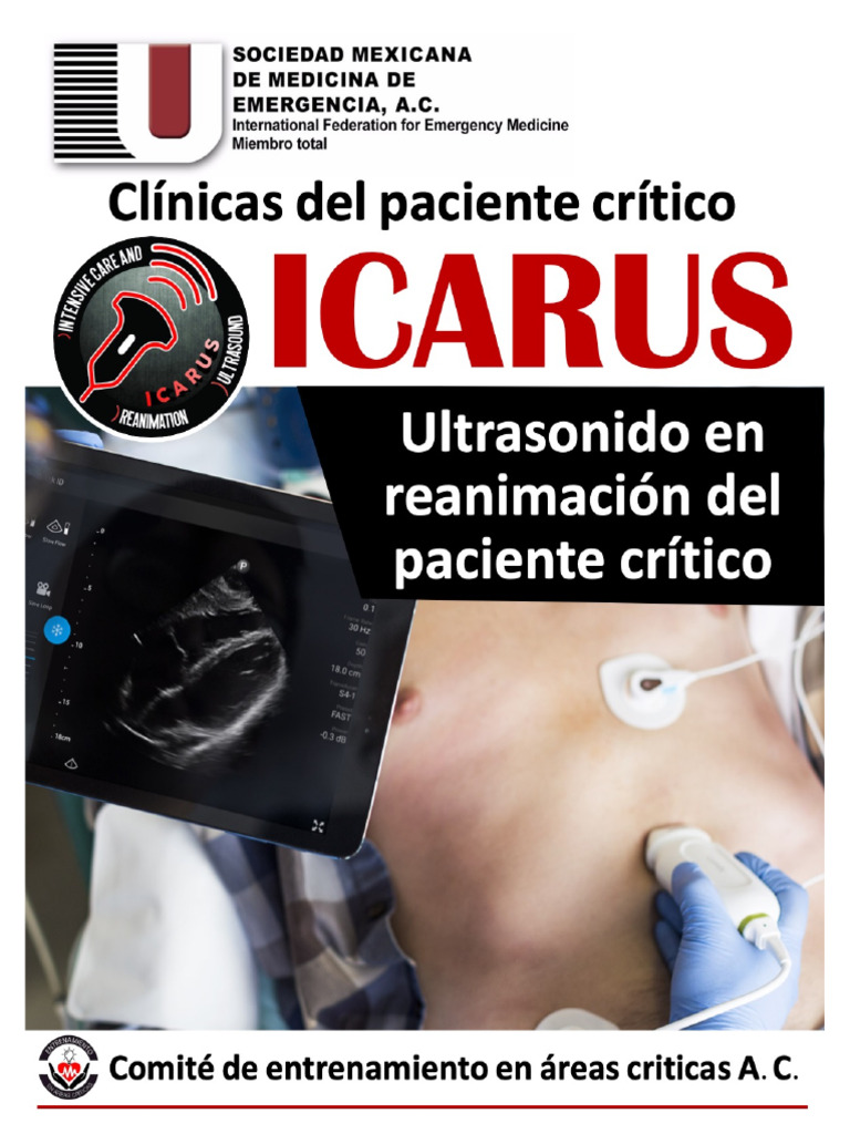 Icarus | PDF | Sonido | Ultrasonido